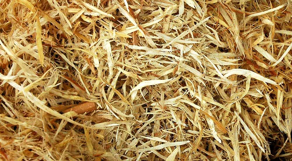 Analysis of Sawmill Residues, Cellulose Content of Sawmill Residues ...